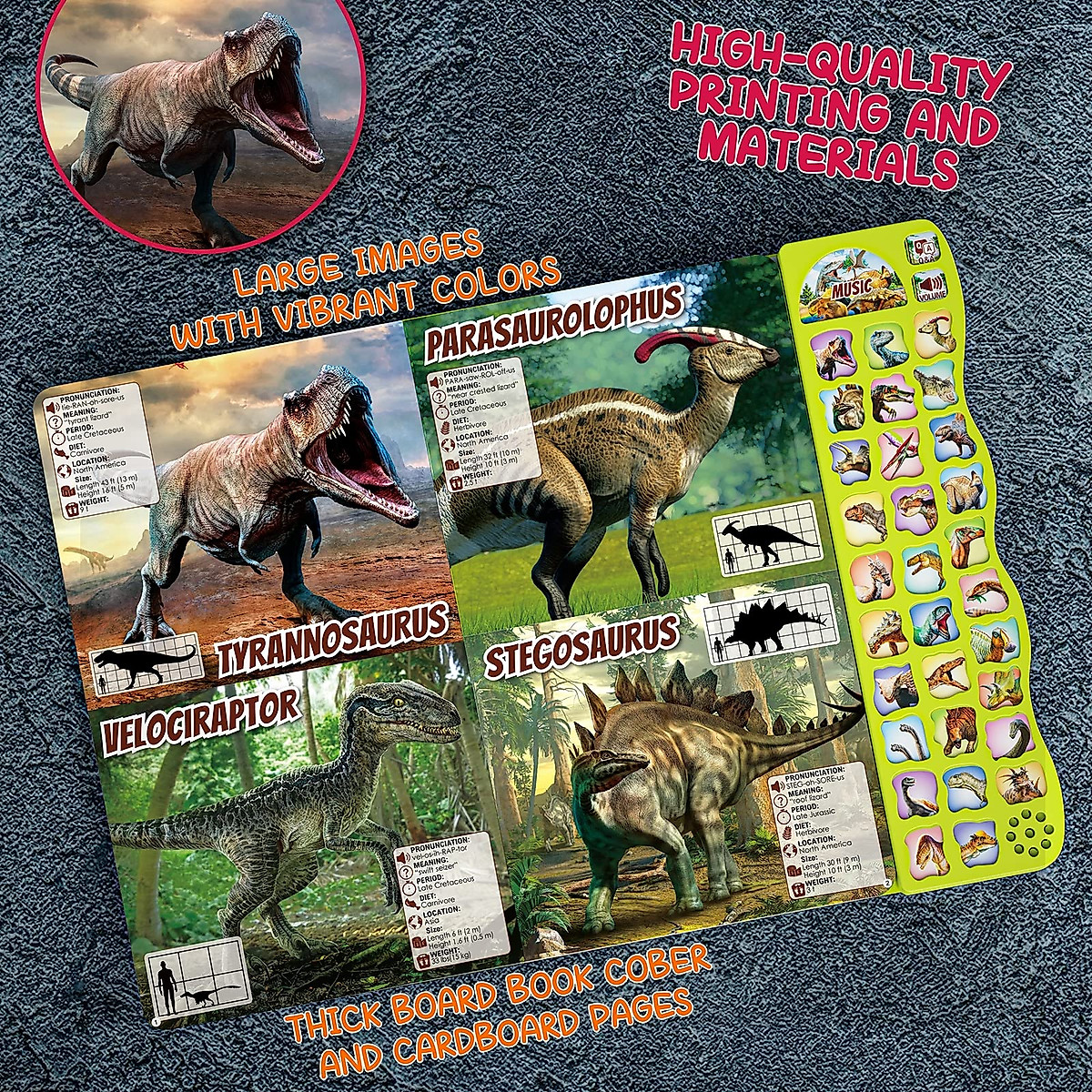 Dinosaur Toys for Kids 3-5 Dinosaur Book with Sounds 30 Species Names & Realistic Sounds Interactive Dinosaur Toys for Boys Girls Kids 2 3 4 5 6 7 Year Old Dinosaur Toys for Kids Gifts