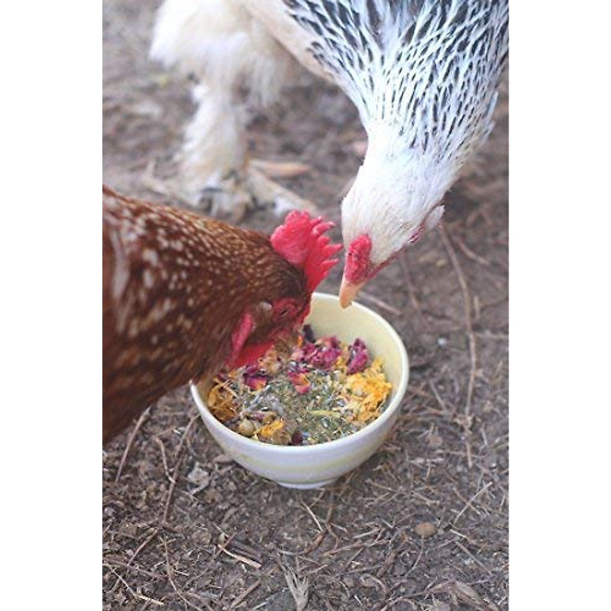 Pampered Chicken Mama Backyard Chicken Nesting Herbs for Great Eggs 10 oz - All-Natural Backyard Chicken Feed Supplies - Hen Treats for The Best Eggs Ever - High Calcium Supplement for Chickens