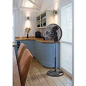 Lasko FBA_2521 Oscillating Adjustable 16-inch Standing Pedestal Fan for Indoor, Bedroom, Living Room, Home Office & College Dorm Use, 1-Pack, Black Basic