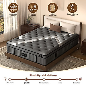 Lechepussleep King Mattress,Lechepus 14Inch Soft Memory Foam Hybrid Mattress in Box,Plush Feel King Size Mattress with Supportive Pocket Coil for Back Pain Relief,Motion Isolation, None of Fiberglass