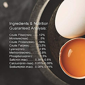 Amzey Dried Mealworms 1 LB, 100% Natural for Chicken Feed, Bird Food, Fish Food, Turtle Food, Duck Food, Reptile Food, Non-GMO, No Preservatives, High Protein and Nutrition, Zipped Bag