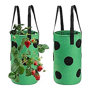 Luxiv Strawberry Grow Bags 3 Gallon, Strawberry Planting Bags with 12 Grow Pouches Plant Growing Hanger Bag for Tomato, Chili, Strawberry Planting Containers Garden Grow Bags (2, Green)