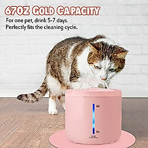 Cat Water Fountains, 67oz/2.0L Pet Water Fountain, Cat Drinking Fountain with Improved Intelligence Water Pump, Kitty Water Fountains Water Bowl for Cats, Cat Water Dispenser with LED and 3 Filters