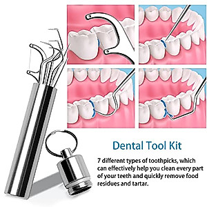 7Pcs 2 Set Portable Stainless Steel Toothpicks Pocket Set, Reusable Metal Toothpicks Cleaning Kit with Holder for Outdoor Picnic Camping Traveling