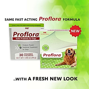 Proflora Probiotics for Dogs-Complete Gut Health & Immune Support. Easy to Use Digestive Multi-Strain Probiotics. Easier Diet Transitions, Healthier Skin & Coat & Helps Treat Diarrhea. 30 Packets.