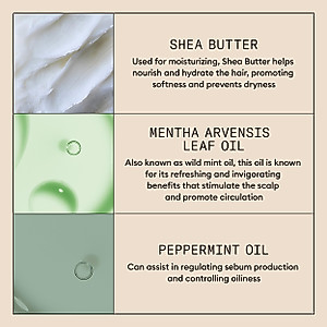 Nioxin Scalp Recovery Purifying Exfoliator, Scalp Exfoliator Dandruff Treatment, 1.6 oz (Packaging May Vary)