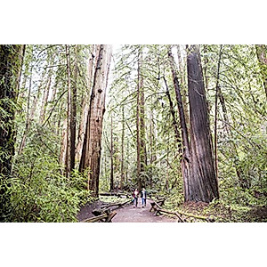 Hydro Flask 21 oz Water Bottle, Sport Cap - Spearmint