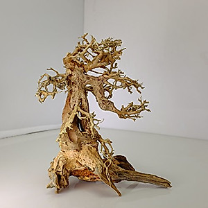 Bonsai Driftwood Aquarium Tree AM (8 Inch Height x 6 Inch Length) Natural, Handcrafted Fish Tank Decoration | Easy to Install