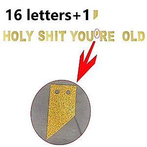 You're Old Brutal Funny Birthday Foil Balloons Banner and Abusive Birthday Balloons Rude and Slightly Offensive for Adults Birthday Decorations