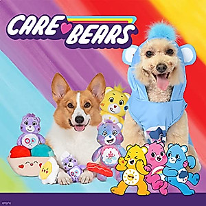 Care Bear for Pets 2PC Set Share Bear Squeaker Flattie Plush Dog Toy With Crinkle Texture Cookie, 4" Small Collectible Toy (FF20238)