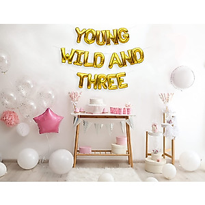 PartyForever Young Wild And Three Balloons Banner Gold Themed 3rd Birthday Party Decorations Sign