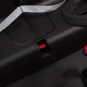 Radio Flyer Ultimate 24 Volt Electric Go-Kart for Kids Ages 3-8, 2-Seater, Red