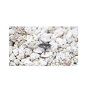 The old Man and the Sea Marlin Fish Ring Retro Copper Inspirational Ring Open Adjustable Ring for Women Men