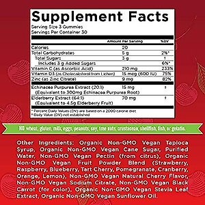 MaryRuth Organics Elderberry Gummies for Immune Support (Cherry) & Vegan Turmeric Gummies Bundle Ingredients for Adults & Kids with Echinacea, Vitamin C and D | Organic Turmeric Curcumin Extrac