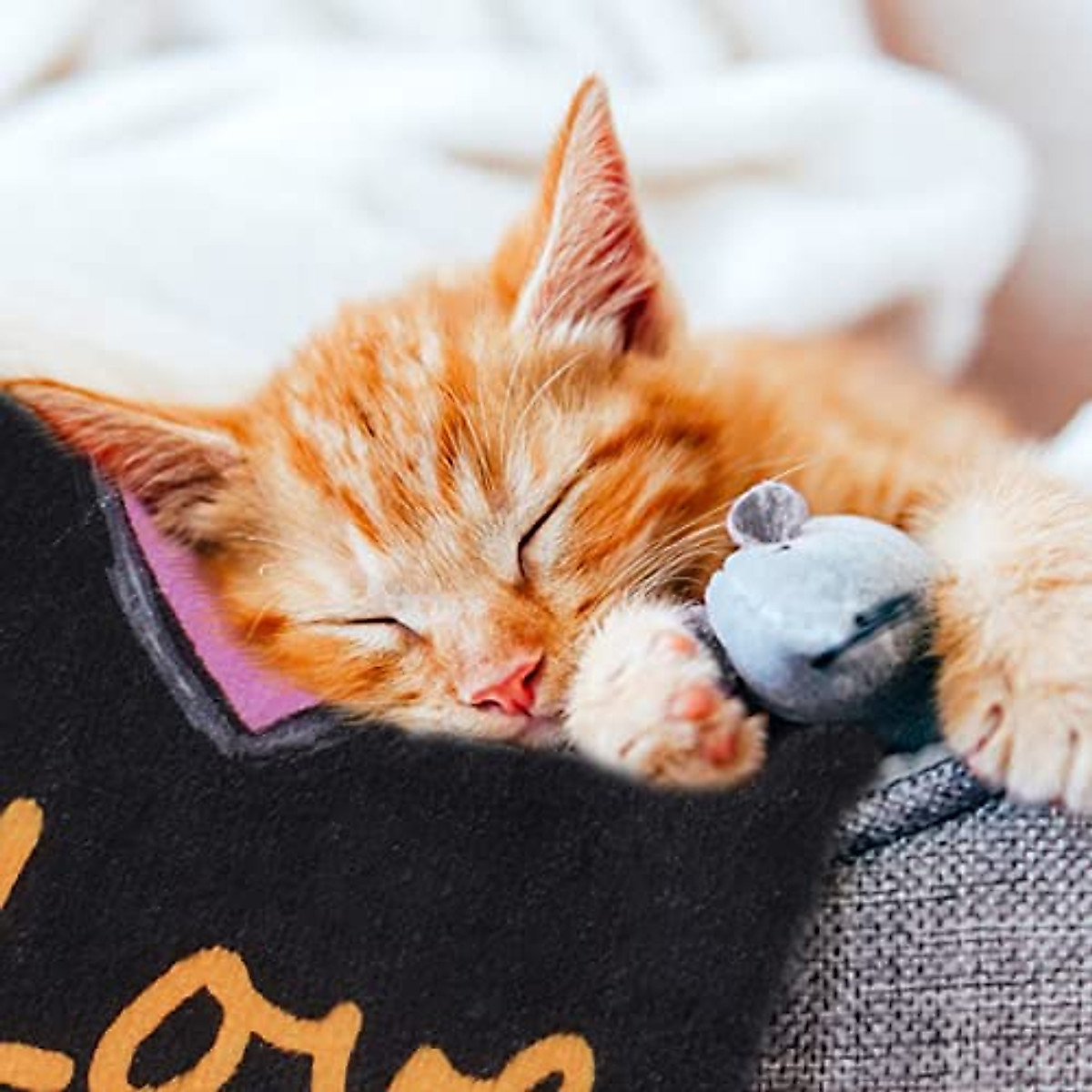 Livole Custom Blanket with Photos Customized Blanket with Pictures Blankets Personalized Baby Blanket Customized Blanket Gifts for Mother's Day, Father's Day, Christmas, Birthday (1-Photo)