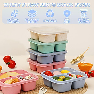 DESLON Kids Bento Box 6 Pack, 3 Compartment Snack Containers, Meal Prep Containers Reusable Lunch Containers for Kids Toddler Adults, Small Bento Snack Box for School, Work and Travel