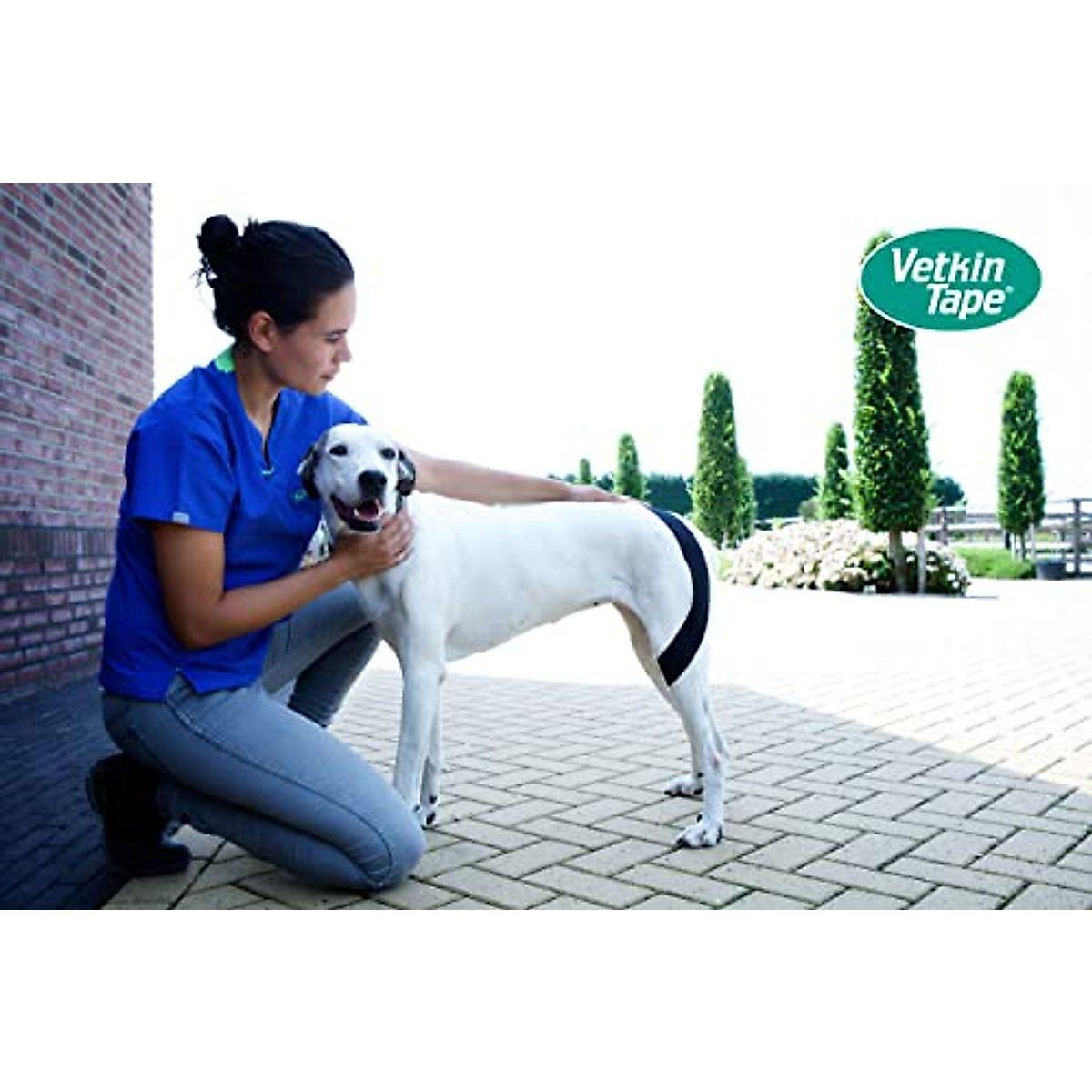 VetkinTape Displaybox | Equine & Canine Kinesiology Tape | Kinesiology Tape for Veterinary Purposes | 10 Uncut Rolls 2.4" X 16' | Available Colors: Black, Blue, Red, Orange, Lime & Pink (Lime)