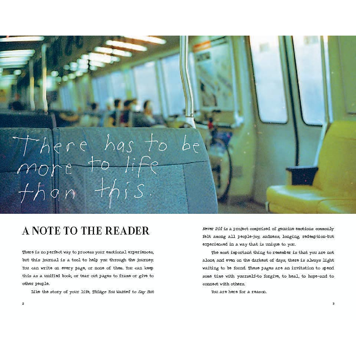 Things You Wanted to Say But Never Did: A Photographic Journal to Process Your Feelings