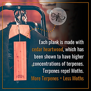 Dr. Killigan's Cedar Planks - Cedar Blocks for Clothes Storage, Alternative to Moth Balls for Closet, Good Cedar Closet Freshener, Best Moth Repellent for Clothes, Harvested in USA (10-Pack)