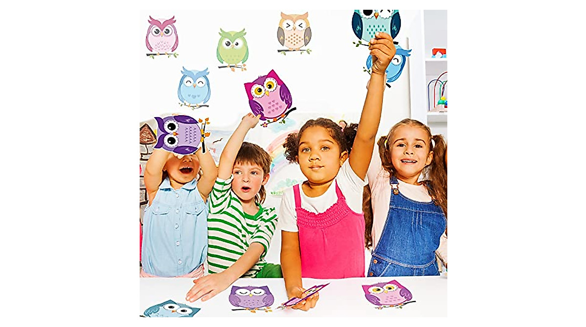 Colorful Owl Cut-Outs for Classroom & Party Decor | 45 Pieces