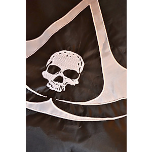 Assassin's Creed IV 4 Black Flag from Limited Collector's Edition