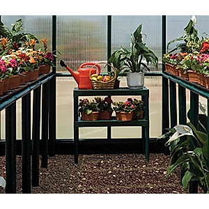 Rion Palram - Canopia 2-Tier Greenhouse Work Bench, Dark Green, 31.4''Lx15.7''Wx33.4''H