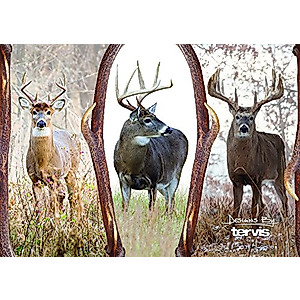 Tervis Deer Trio Stainless Steel Tumbler with Clear and Black Hammer Lid 30oz, Silver