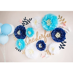 Fonder Mols Navy Blue White Tissue Paper Flowers Decorations for Wall Backdrop, Fishing Nautical Ocean Boy Themed Baby Shower Birthday Bridal Shower Decor (Pack of 17)