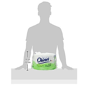 Chinet 10 3/8 Dinner Plate 100-count Box