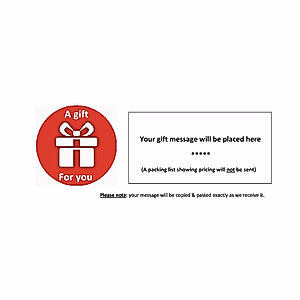 Flat Earth Map Dome Display Model