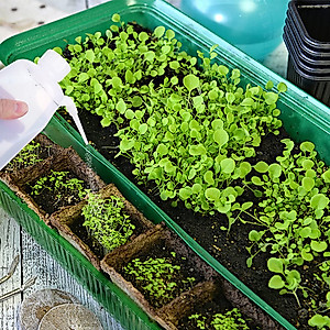 iplusmile 2Pcs Plastic Wash Bottle Wide Mouth Unitary Wash Bottle Safety Squeeze Bottle 500ml (White)