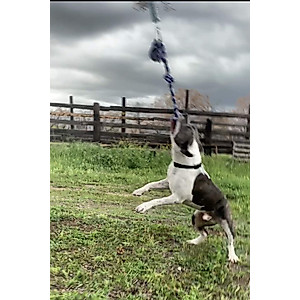 JJD USA Dog Rope Toys (Rope only) Muscle Builder Strong Dog Rope Toy and a for Pitbull & Medium to Large Dogs Outdoor Hanging Exercise Rope Pull & Tug of War Toy Bully