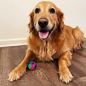 Supawdupaw Plush Duck Chew Toy with Squeaker and Light Up Bouncy Ball 2 Pack Dog Toys