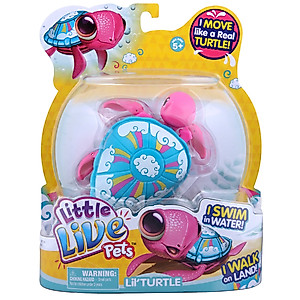 Little Live Pets Turtle - Sunshine