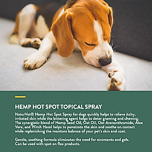 NaturVet Hemp Hot Spot Spray with Aloe Vera for Dogs, 12 oz Liquid, Made in The USA