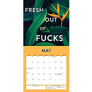 2023 Chill the F*ck Out Wall Calendar: Find Calm and Get a Fresh F*cking Start This Year (Funny 12-Month Calendar, White Elephant Gag Gift for Adults)