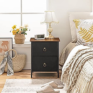 HOOBRO Nightstand, 2 Drawer Dresser for Bedroom, Set of 2, End Tables with Fabric Storage Drawer, Night Stand, Side Table for Bedroom, Closet, Entryway, Dorm, Rustic Brown and Black BF82BZP201G1