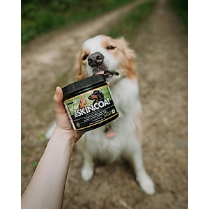 BiologicVET - BioSKIN & Coat Natural Antihistamine Supplement for Dogs & Cats, Supports Skin Health and Helps Maintain Normal Histamine Levels, 53-Day Supply for 30-lb. Animal, 14-oz. Powder