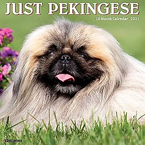 Just Pekingese 2021 Wall Calendar (Dog Breed Calendar)