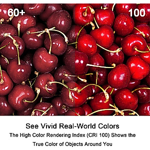 G9 Bulb 60W, 12 Pack G9 Halogen Light Bulbs 2 Pin Base T4 JCD Type 120V Xenon Small Light Bulb for Chandeliers, Range Hood Light, Bathroom Light Bulbs, Cabinet Lights, Dimmable, 2700K Warm White