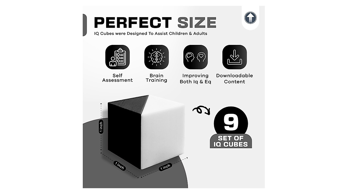 IQ Test Cubes for Cognitive Skills & Block Design Exam