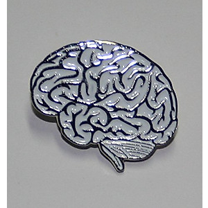 Lateral View Brain Pin