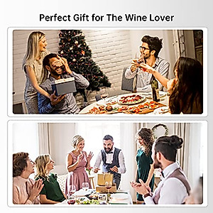 Wine Chiller Electric,Cobalance Wine Chillers Bucket for 750ml Red & White Wine or Some Champagne,Stainless Steel Single Bottle Iceless Wine Cooler,Kitchen Bar RV Wine Accessory,Gift for Wine Lovers