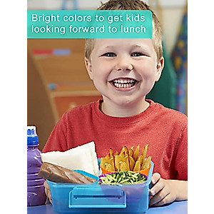 48Pcs Silicone Lunch Box Dividers- 3 Shapes Bento Lunch Box Silicone Divider to Block Food from Sticking- Silicone Baking Cups Bento Box Accessories for Kids School Lunch Home Party Picnic (6 Colors)