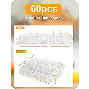 Pintuson Egg Cartons Cheap Bulk 60 Pack - Holds 1 Dozen Clear Blank Egg Cartons for Chicken Eggs - Medium Plastic Egg Carton for Home Ranch Chicken Farm, Commercial Market Display (3x4 Grids)