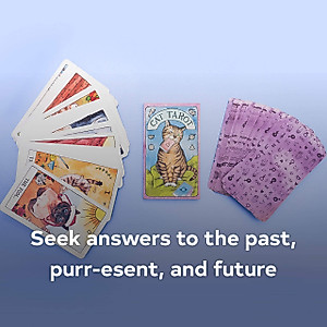 Cat Tarot: 78 Cards & Guidebook (-)