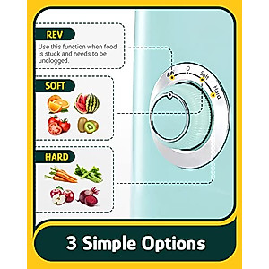 Hazel Quinn Masticating Juicer, Slow Cold Press Juicer Machines for Fruit and Vegetable, Easy to Clean, 2-Speed Modes & Reverse Function, 80 RPM Quiet Motor Below 65dB, Mint Green, Retro Style