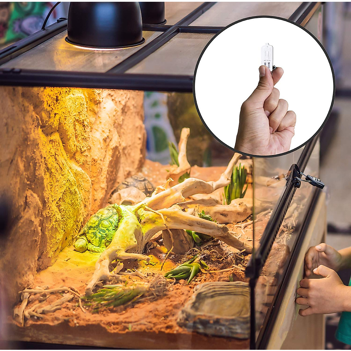 Mandala Crafts G9 Halogen Light Bulb with Looped 2 Pin Base T4 Type 25-Watt 120 Volt Dimmable Warm White Pack of 10