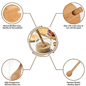 Vermida Condiment Container Seasoning Box Set,Spice Jars Glass Seasoning Food Storage Containers with Bamboo Lid and Bamboo Spoon for Home and Kitchen,Salt Sugar Spice Pepper Jar,Set of 1 (1 pcs)