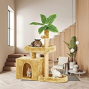 TSCOMON 31.5" Cat Tree Cat Tower for Indoor Cats with Green Leaves, Cat Condo Cozy Plush Cat House with Hang Ball and Leaf Shape Design, Cat Furniture Pet House with Cat Scratching Posts, Beige